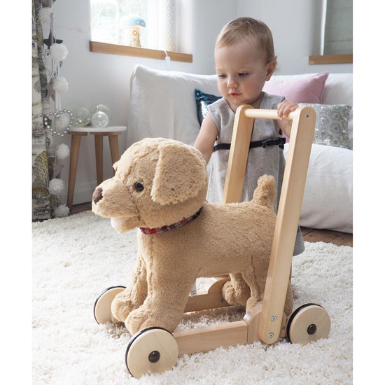 Dexter Dog Push Along Baby Walker| Little Bird Told Me | Ride On Toy
