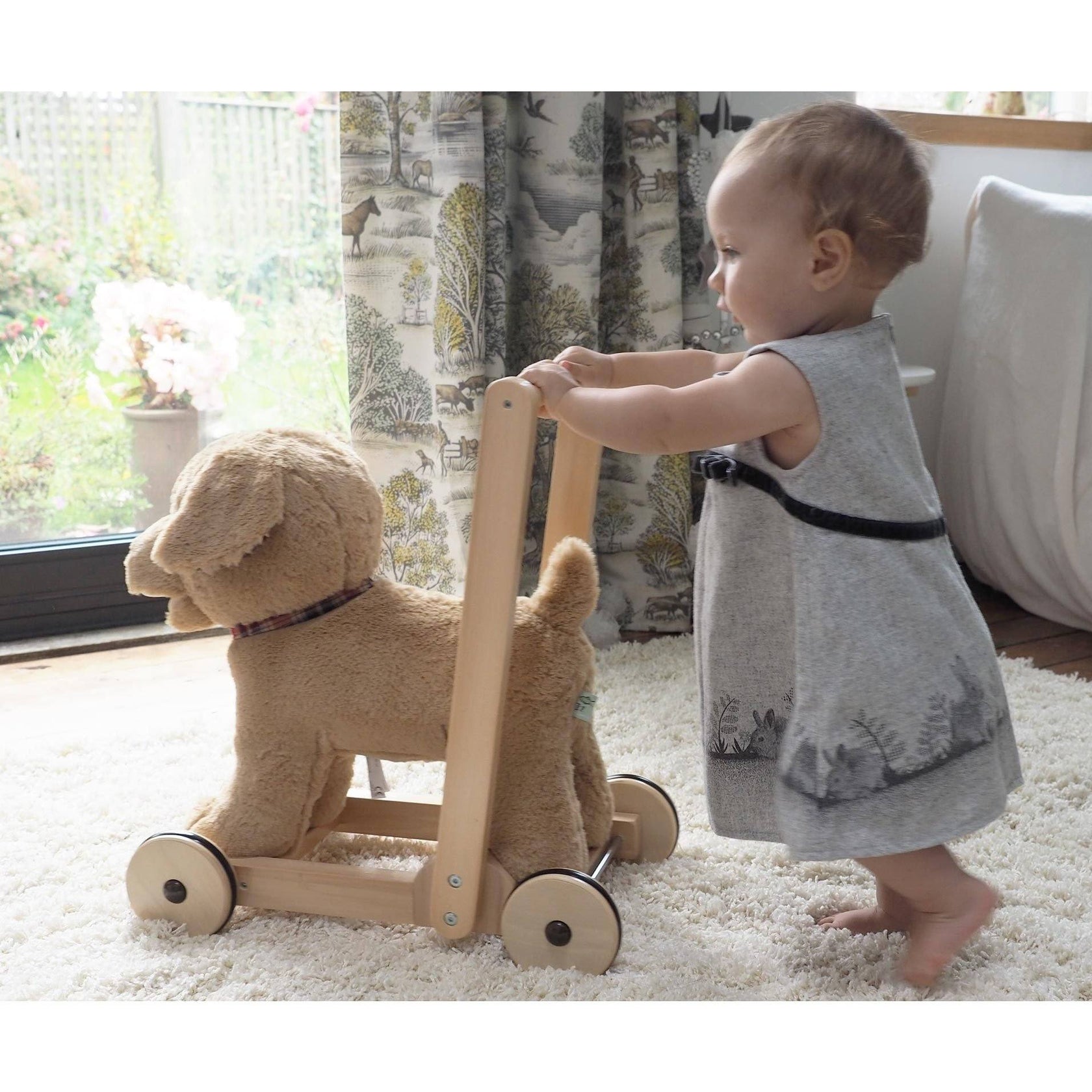 Dexter Dog Push Along Baby Walker| Little Bird Told Me | Ride On Toy