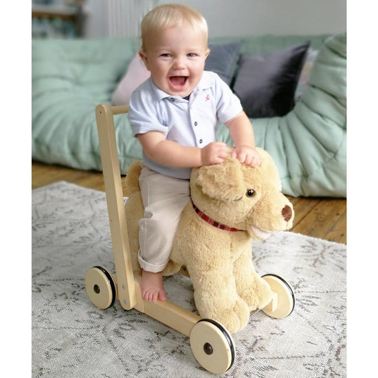 Dexter Dog Push Along Baby Walker| Little Bird Told Me | Ride On Toy