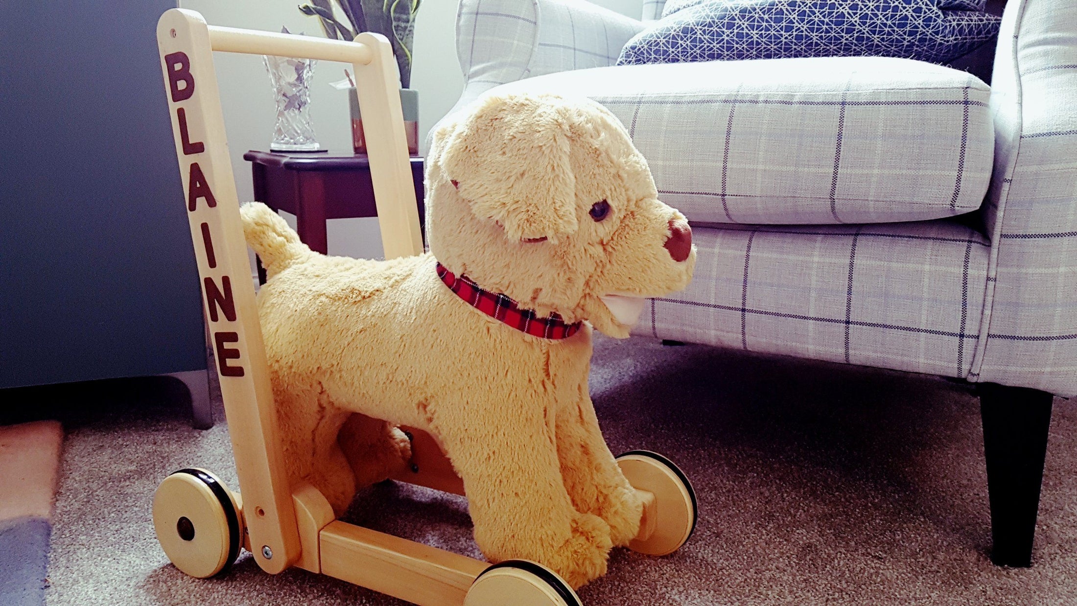 Dexter Dog Push Along Baby Walker| Little Bird Told Me | Ride On Toy