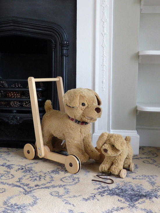 Dexter Dog Push Along Baby Walker| Little Bird Told Me | Ride On Toy